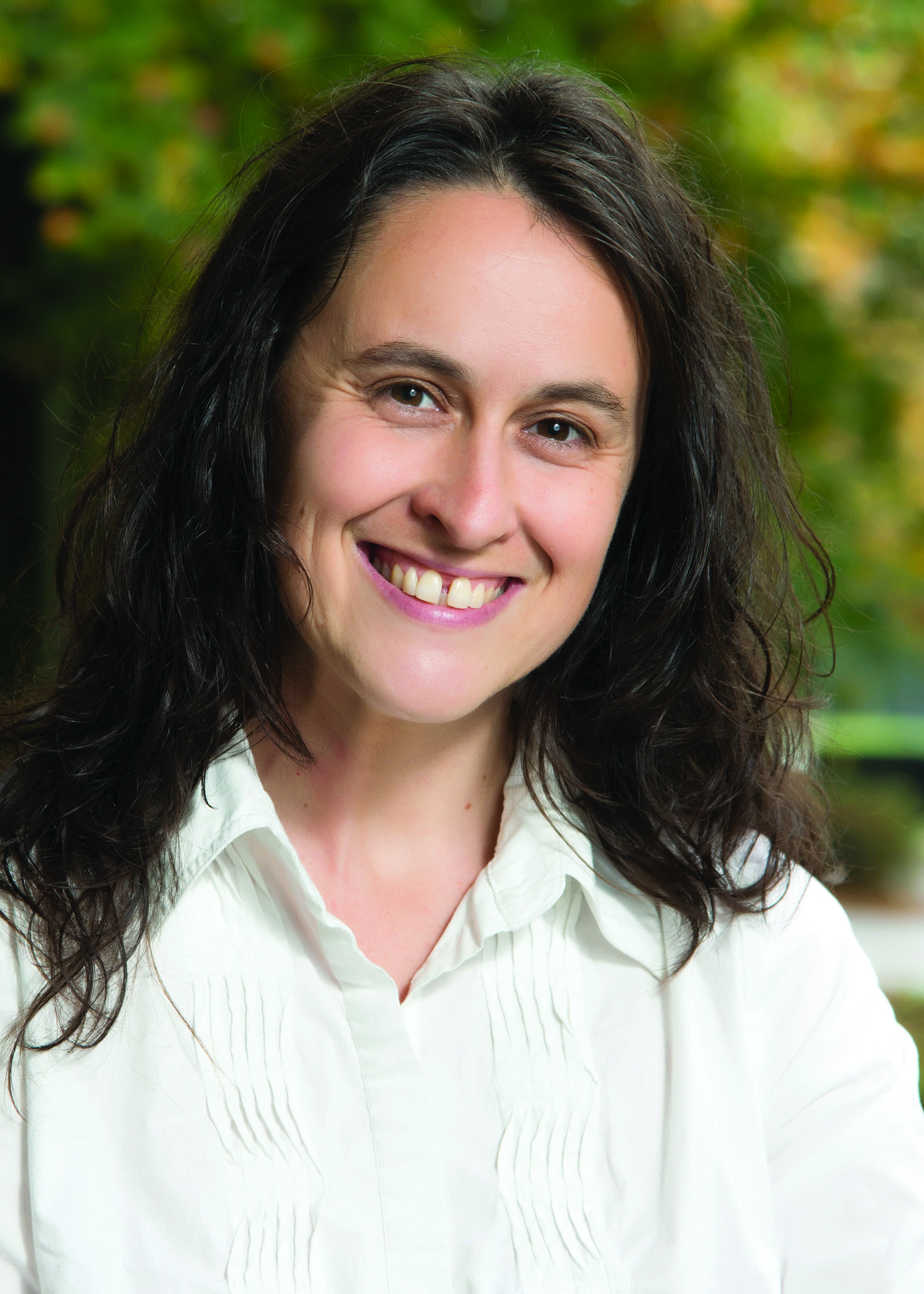 Sanghata Foundation Board | About